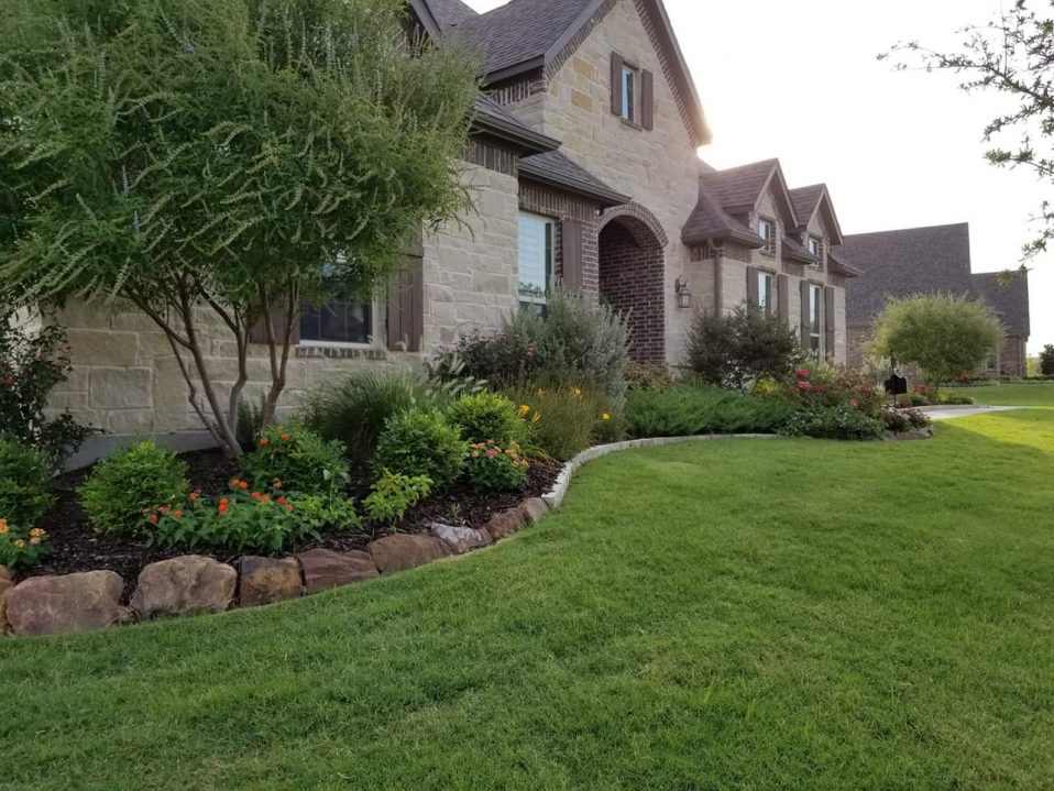 Partnering With An Expert for Large-Scale Landscaping - Texas Outdoor Oasis